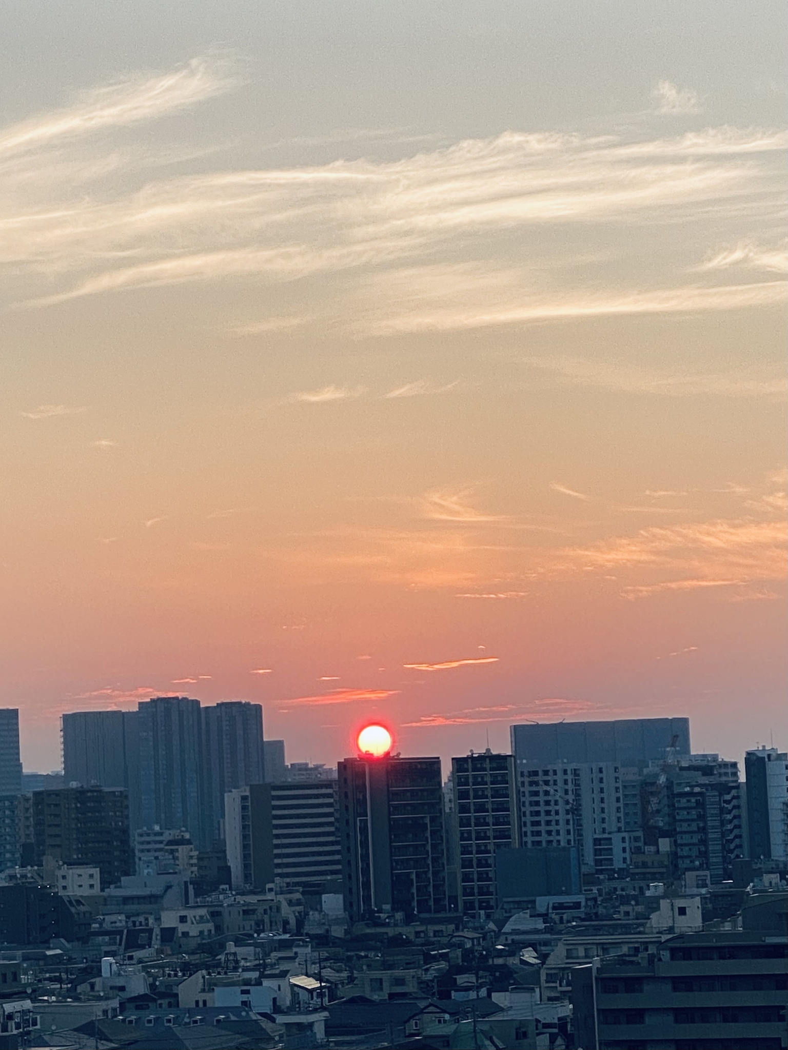 こばらさんのダイアリー：はじめて投稿します。 | Peer Ring - なかまと話そう！女性特有のがん