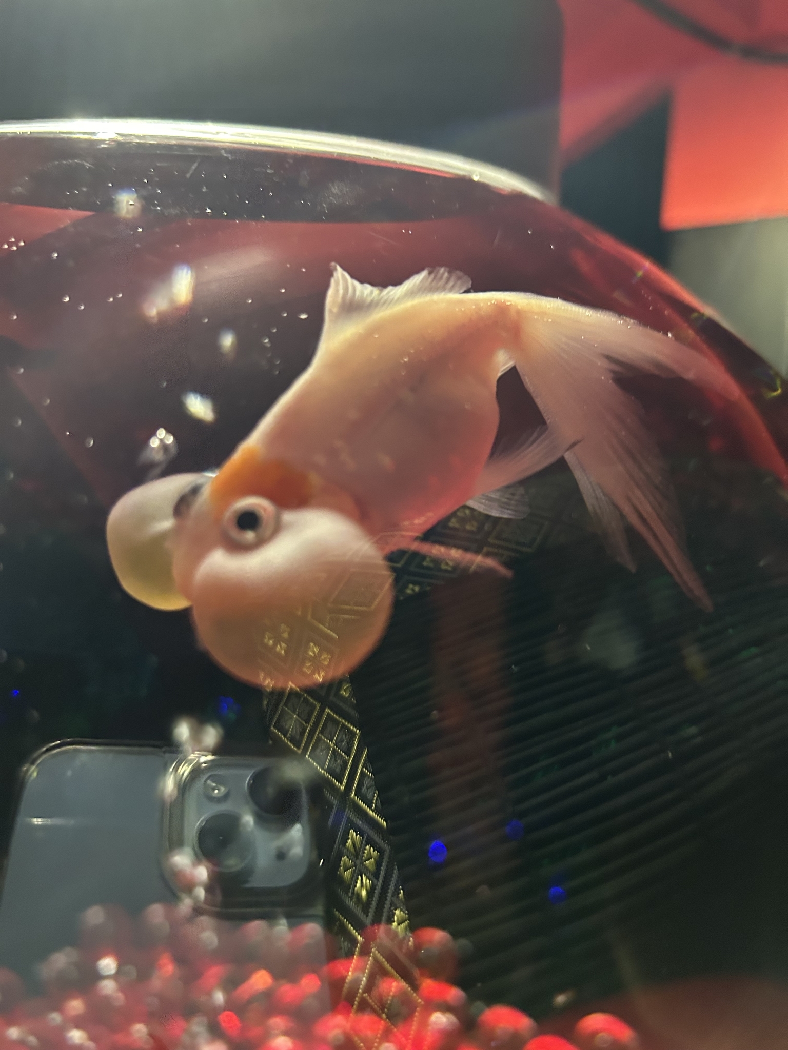 ひめ(hime999)さん | Peer Ring - なかまと話そう！女性特有のがん