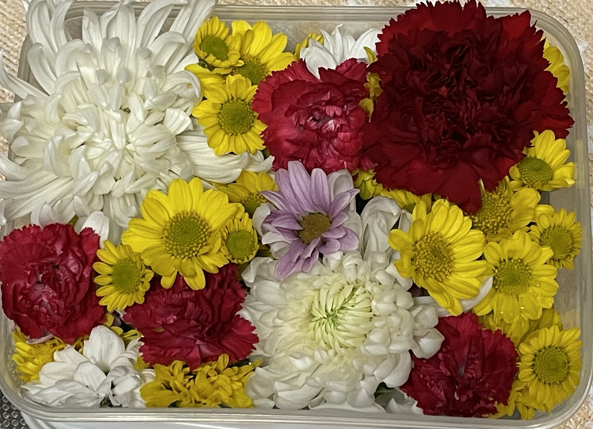 とも70さんのダイアリー：こんにちは😃。 | Peer Ring - なかまと話そう！女性特有のがん