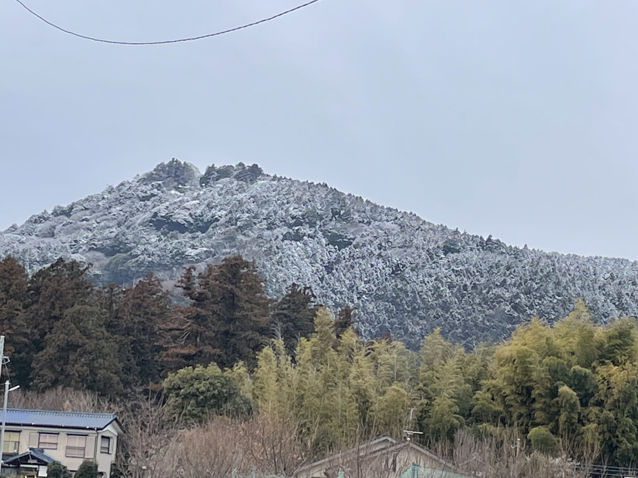 とも70さんのダイアリー：こんにちは😃。 雪☃️ ️。 | Peer Ring - なかまと話そう！女性特有のがん