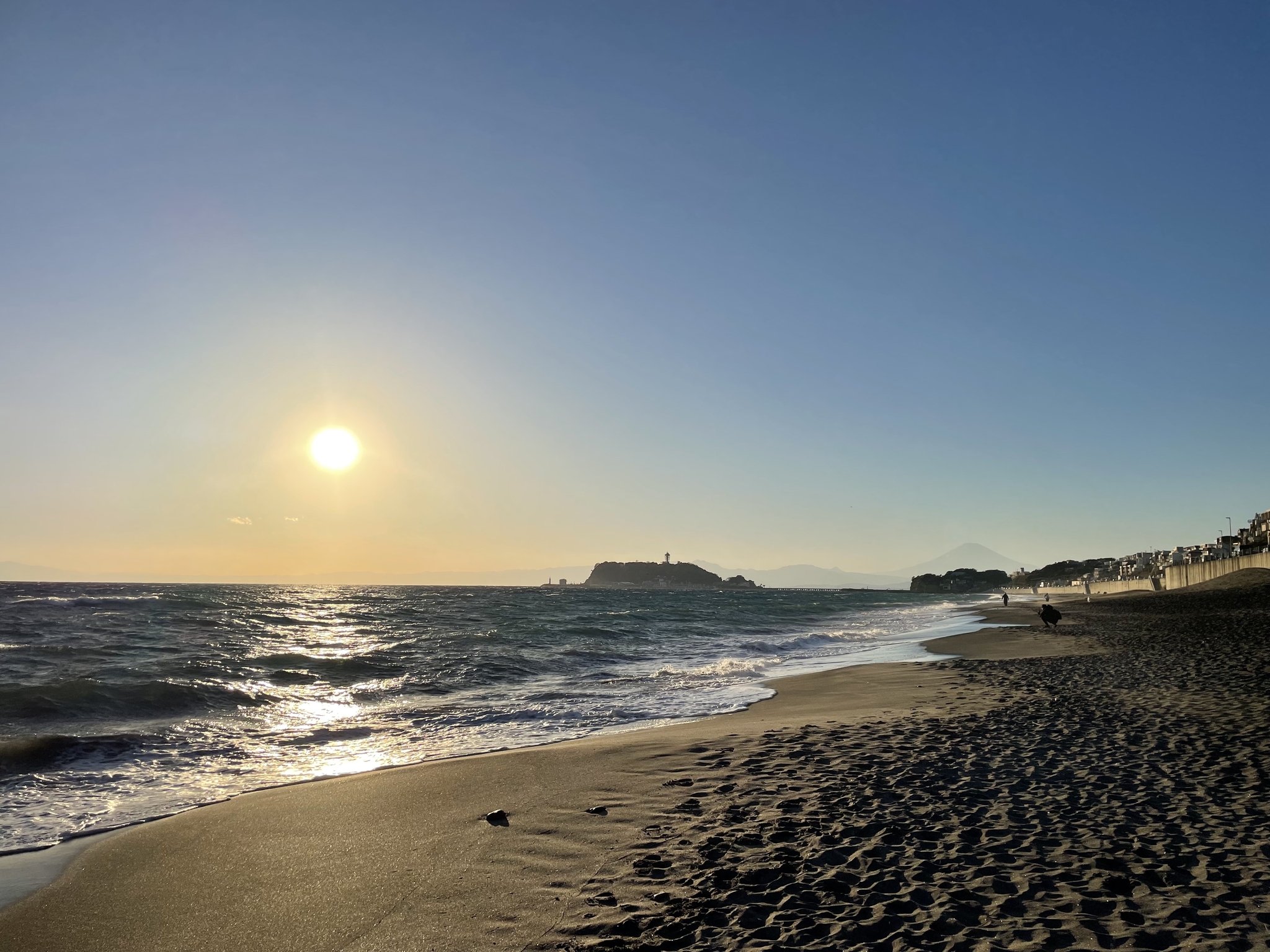 はしもさんのダイアリー：#骨転移 #ステージ4 #ベージニオ #味覚障害 | Peer Ring - なかまと話そう！女性特有のがん