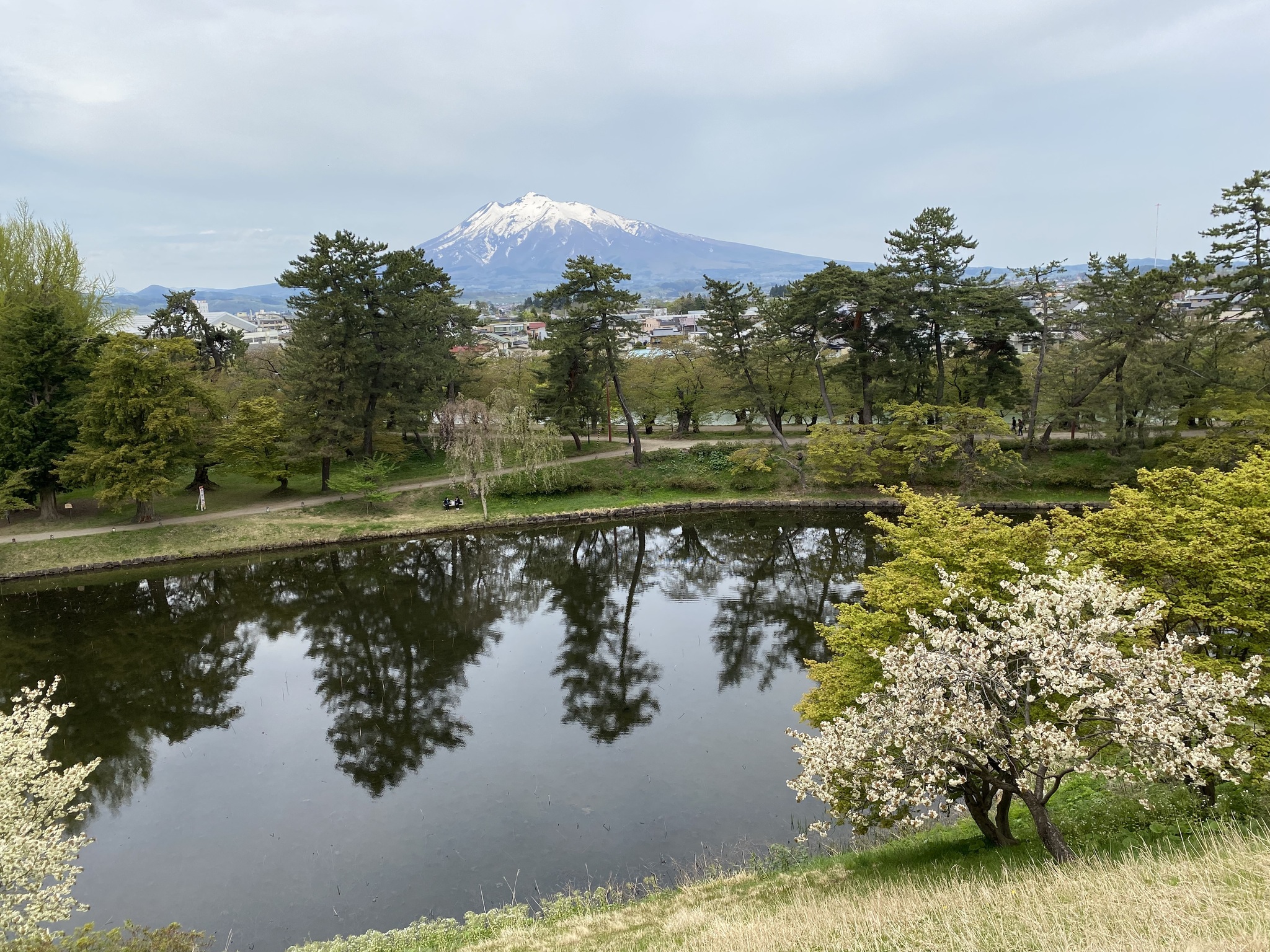 すずめさんのダイアリー：#ステージ4 #カドサイラ中止 | Peer Ring - なかまと話そう！女性特有のがん