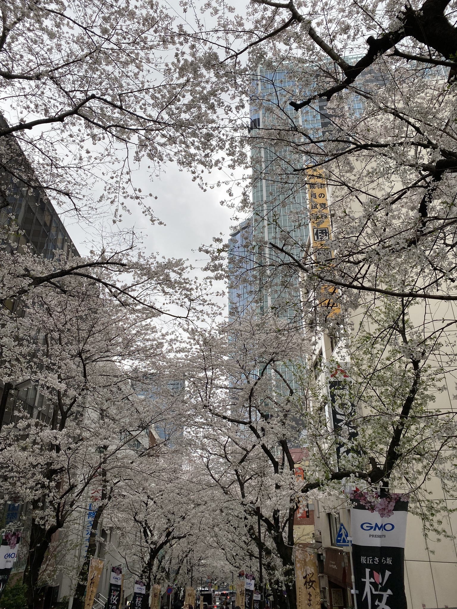 すずめさんのダイアリー：#ステージ4 #鎖骨上リンパ節転移 #ハラヴェン | Peer Ring - なかまと話そう！女性特有のがん