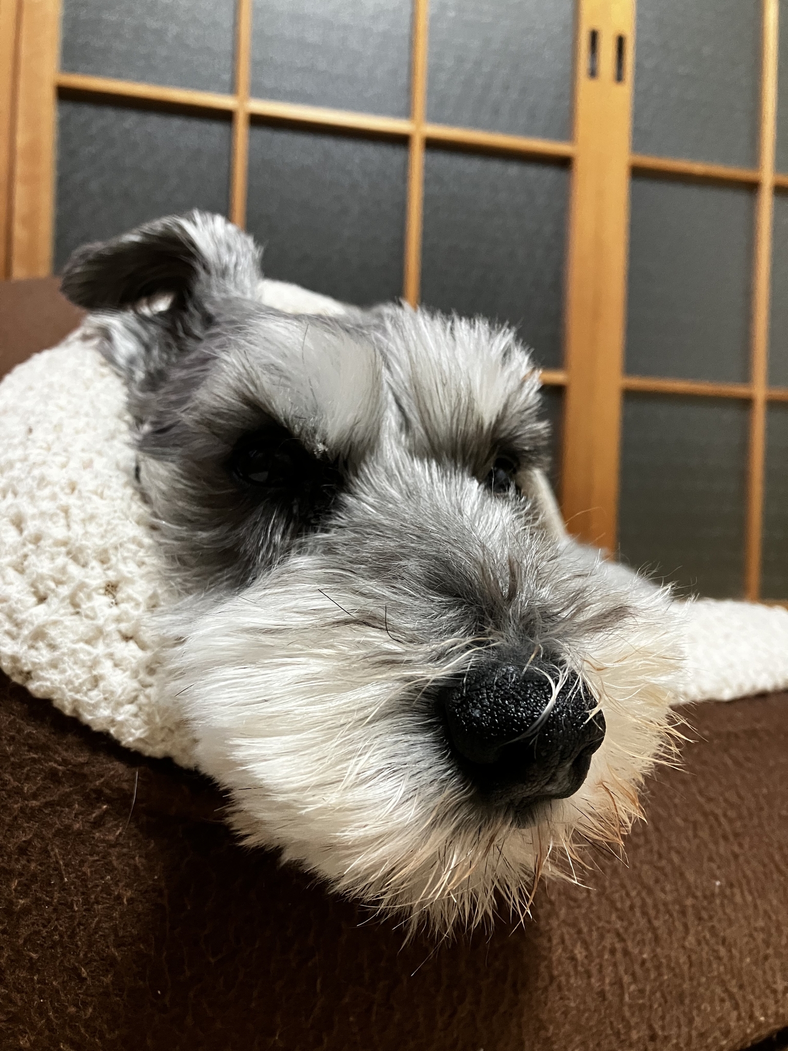 ころ(coroncororin)さん | Peer Ring - なかまと話そう！女性特有のがん