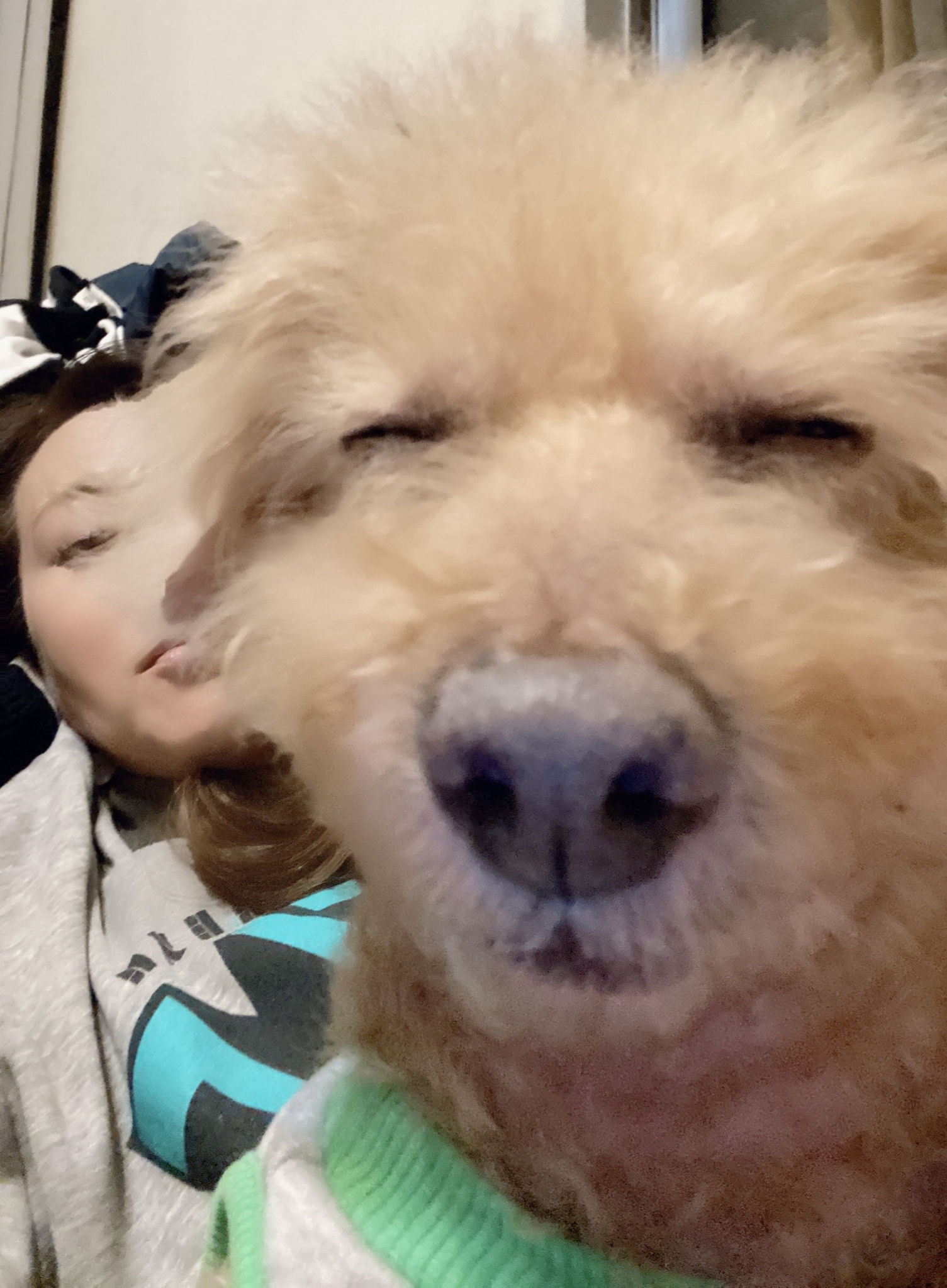 cocoa0830(cocoa0830)さん | Peer Ring - なかまと話そう！女性特有のがん