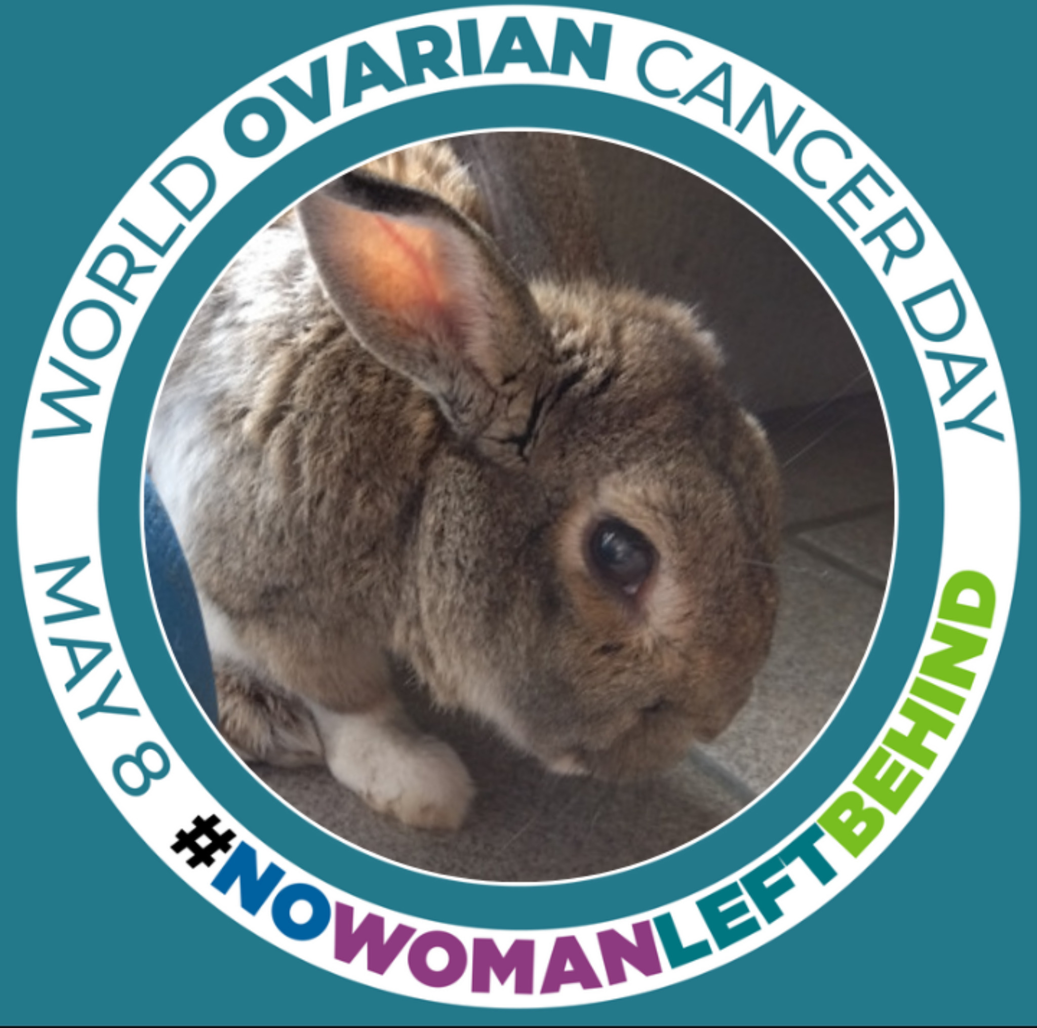 ふぃーも(cow86451)さん | Peer Ring - なかまと話そう！女性特有のがん