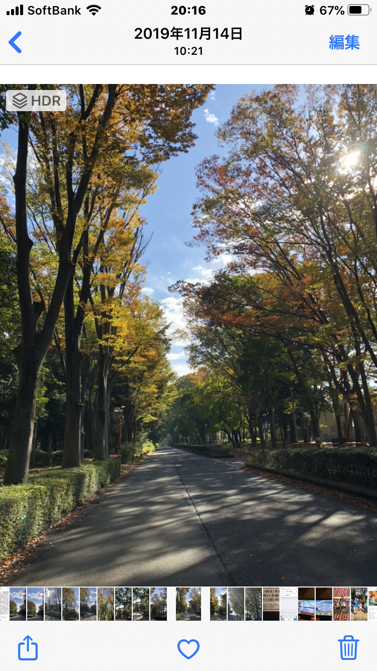 キャラメル(Caramel)さん | Peer Ring - なかまと話そう！女性特有のがん